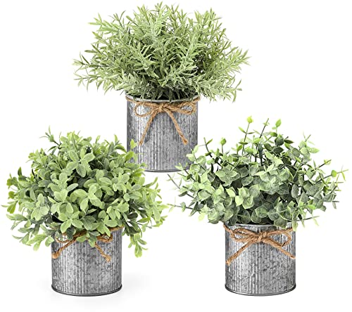 Mkono Mini Fake Plants in Farmhouse Galvanized Metal Pots Table Centerpiece Rustic Home Decor, 3 Pack Lightweight Potted Artificial Plants Faux Eucalyptus for Indoor Shelf Dining Room Office Decor