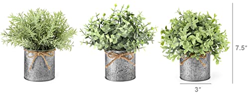 Mkono Mini Fake Plants in Farmhouse Galvanized Metal Pots Table Centerpiece Rustic Home Decor, 3 Pack Lightweight Potted Artificial Plants Faux Eucalyptus for Indoor Shelf Dining Room Office Decor