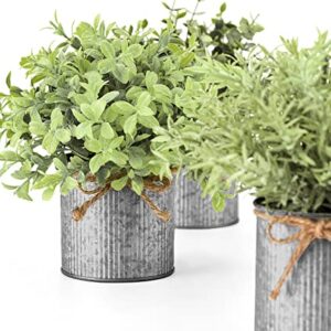 Mkono Mini Fake Plants in Farmhouse Galvanized Metal Pots Table Centerpiece Rustic Home Decor, 3 Pack Lightweight Potted Artificial Plants Faux Eucalyptus for Indoor Shelf Dining Room Office Decor