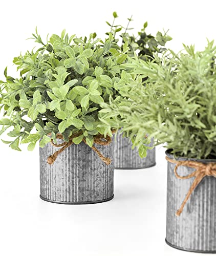 Mkono Mini Fake Plants in Farmhouse Galvanized Metal Pots Table Centerpiece Rustic Home Decor, 3 Pack Lightweight Potted Artificial Plants Faux Eucalyptus for Indoor Shelf Dining Room Office Decor