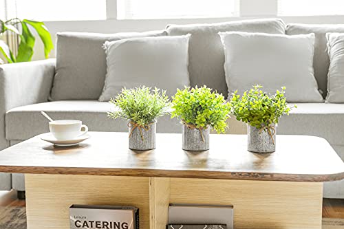 Mkono Mini Fake Plants in Farmhouse Galvanized Metal Pots Table Centerpiece Rustic Home Decor, 3 Pack Lightweight Potted Artificial Plants Faux Eucalyptus for Indoor Shelf Dining Room Office Decor