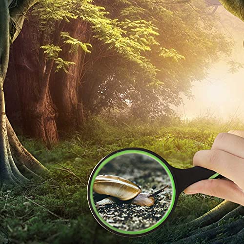 10X Shatterproof Magnifying Glass 10X Large Handheld Magnifying Glass for Seniors Kids 75mm Magnifying Lens with Non-Slip Rubber Handle Magnifier Glass for Reading Science Insect Hobby Observation