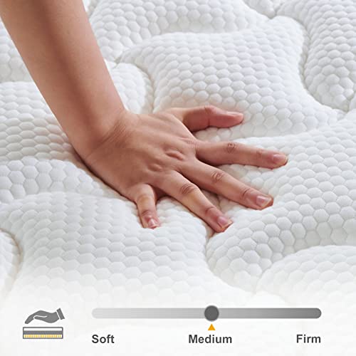 S SECRETLAND Full Mattress, 12 Inch Hybrid Memory Foam Mattress and Individual Pocket Springs,Full Bed Mattress in a Box with Pressure Relief and Cooler Cover,Soft Full Size