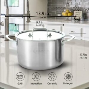 LOLYKITCH Tri-Ply Stainless Steel 5QT Stock Pot with Lid, Induction Cooking Pot,Soup Pot, Compatible with All Stoves,Oven and Diswasher safe.