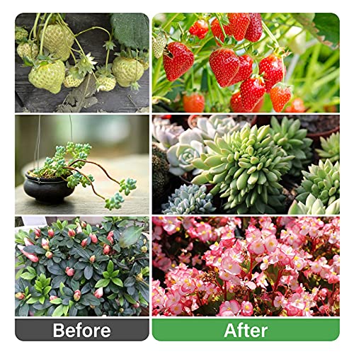 LED Plant Grow Light Strips, Full Spectrum Red Blue Plant Grow Lights for Indoor Plants with Auto 3H/6H/12H Timer, 4 Dimmable Levels Sunlike Growing Lamp for Hydroponics Succulent, 6 Strips