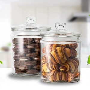 Woaiwo-q 35 oz Glass Jars, Glass Storage Container with Glass Lid for Biscuits, Candy, Dry Goods, Beans, Cookie Jar with Lid for Home & Kitchen (Set of 6）