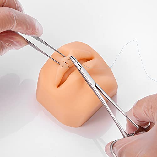 Ultrassist Soft Silicone Mouth Model for Practicing Suture, Silicone Flexible Model for Education Display, Rubber Mouth for Teaching Instructions