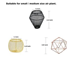 Newwe Pack of 3 Air Plant Holder Metal Airplant Pot Geometric Tabletop Decor Air Plants Planter Tillandsia Display for Home Office