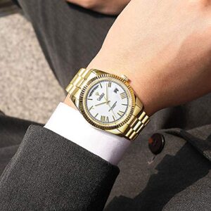 CADISEN Men Automatic Watch Sapphire Luxury Mechanical Wristwatch Stainless Steel Waterproof Watch Men MIYOTA8285 (Golden White Noodles)