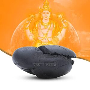 vedic vaani natural salagram saligramam stone matsya avatar shaligram shila black (one piece)