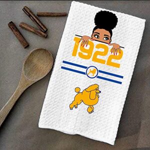 Generic MEIKIUP Sigma Gamma Rho Sorority Inspired Gift 1922 Paraphernalia Kitchen Towel SGRho Dish for Woman Housewarming (1922 Towel)