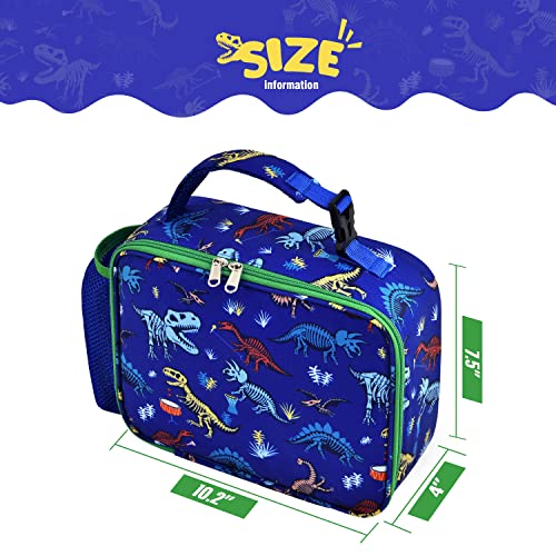 Fossils Dinosaur Lunch Box - Insulated Kids Lunch Box for Boys Lunch Bag School Preschool Kindergarten Elementary Picnic Lunch Tote Bag Waterproof Reusable Lunchbox with Handle and Pocket