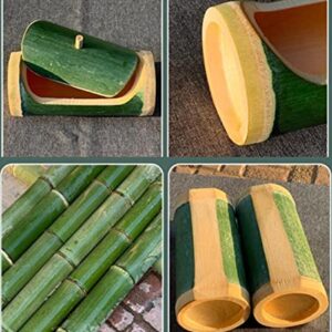 WellieSTR (Outer Dia.3~3.5cm 1 Set Fresh Handmade Natural Mini Bamboo Wrapped Sticky Rice Steamer,Chinese Snack Tool, Banboo Tubes,Zongzi ZhuTongFan