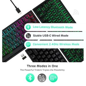 RK ROYAL KLUDGE RK84 Wireless RGB 75% Triple Mode BT5.0/2.4G/USB-C Hot Swappable Mechanical Keyboard, 84 Keys Bluetooth Gaming Keyboard w/High-Capacity Battery, Quiet Red Switch