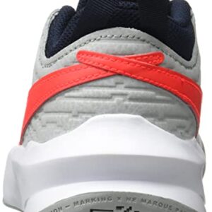 Nike Kid's Team Hustle D10 (GS) Basketball Shoe (4.5, Light Smoke Grey/Bright Crimson, Numeric_4_Point_5)