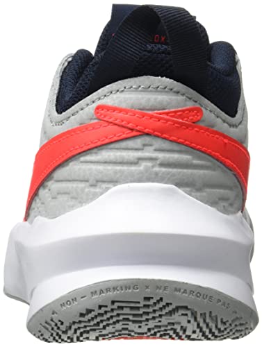 Nike Kid's Team Hustle D10 (GS) Basketball Shoe (4.5, Light Smoke Grey/Bright Crimson, Numeric_4_Point_5)