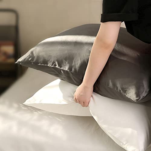 Rillza 100% Pure Mulberry Silk Pillowcase for Hair and Skin, Hidden Zipper (Dark Grey, King 20''x36'', 1 PC), Anti Acne Wrinkle, Soft Smooth, Premium Gift Box, Grade 6A Silk Pillow Case