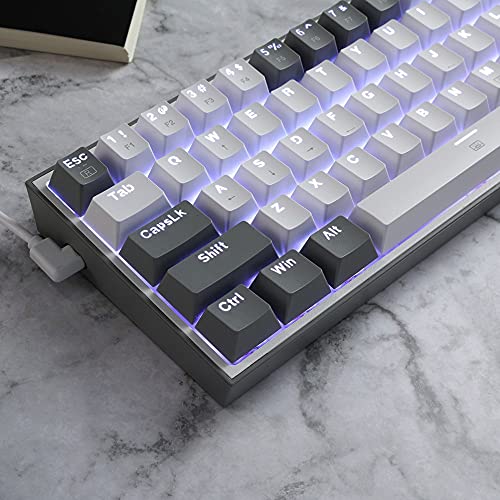 Redragon K617 Fizz 60% Wired RGB Gaming Keyboard, 61 Keys Compact Mechanical Keyboard w/White and Grey Color Keycaps, Linear Red Switch, Pro Driver/Software Supported