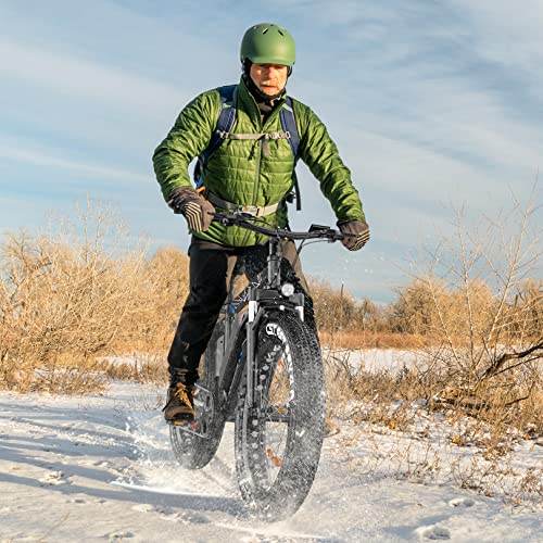 Vivi Electric Bike 26" x 4.0 Fat Tire Electric Bicycle, 48V 500W 13Ah Electric Mountain Bike, 25MPH Ebikes for Adults with Removable Lithium-Ion Battery, Professional 7 Speed