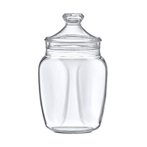 Amazing Abby - Ellie - Acrylic Bathroom Canister (42 oz), Plastic Apothecary Jar for Vanity, BPA-Free and Shatter-Proof, Great for Bath Sponges, Shower Balls, Loofah Pads, and More