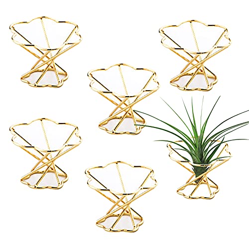 LIYI Air Plant Holder, Metal Air Plant Stand Container Airplant Display Racks for Home, Office and Wedding Decoration (Gold)