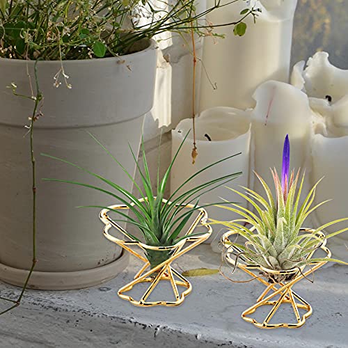 LIYI Air Plant Holder, Metal Air Plant Stand Container Airplant Display Racks for Home, Office and Wedding Decoration (Gold)