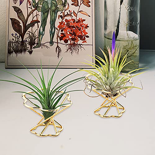 LIYI Air Plant Holder, Metal Air Plant Stand Container Airplant Display Racks for Home, Office and Wedding Decoration (Gold)