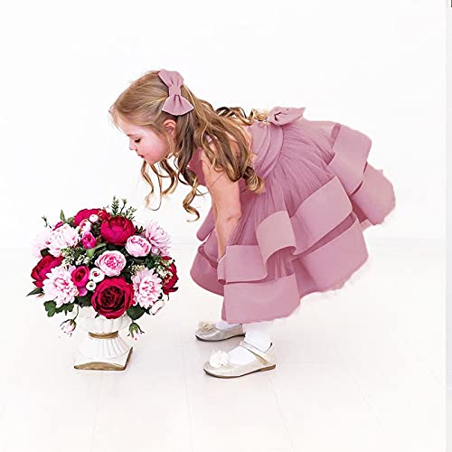 3M-6T Toddler Girl Bowknot Backless Tutu Gown Ruffle Lace Tulle Pageant Dress Baby Party Dresses with Headwear Dark Pink 80