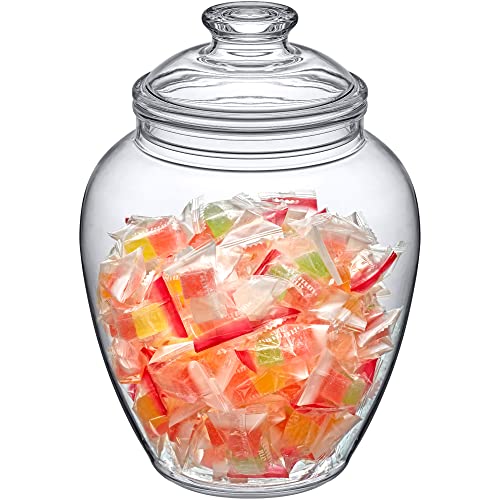 Amazing Abby - Sugar Sugar - 140-Ounce Plastic Candy Jar with Lid, Cookie Jar, Apothecary Jar, BPA-Free, Shatter-Proof, Dishwasher-Safe, Great for Candy Buffet, Decorative Display, and More