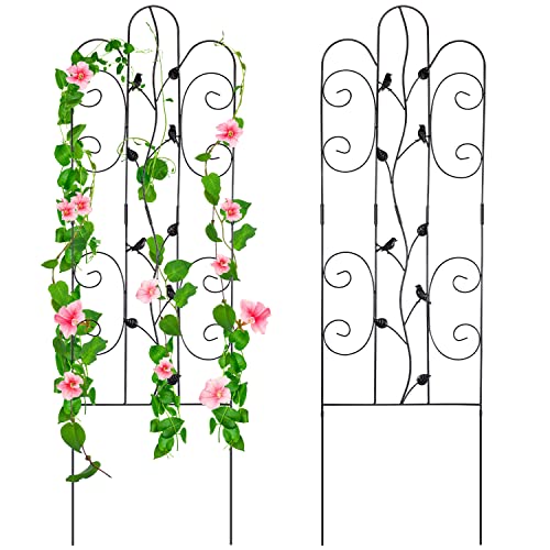 XYADX Metal Garden Trellis for Climbing Plants & Roses 61''x 18.5" Plants Support Rustproof Sturdy Leaves Garden Trellis for Vegetables Trellis for Potted Plants Pack of 2 - Black