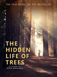 the hidden life of trees