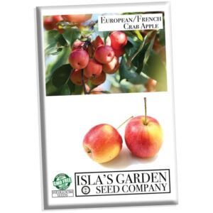 european/french crab apple tree seeds, 20 apple seeds per packet, (isla's garden seeds), non gmo seeds, botanical name: malus sylvestris, 98% germination rates