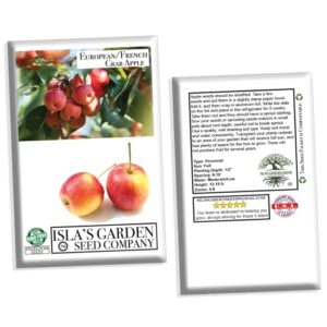 European/French Crab Apple Tree Seeds, 20 Apple Seeds Per Packet, (Isla's Garden Seeds), Non GMO Seeds, Botanical Name: Malus sylvestris, 98% Germination Rates