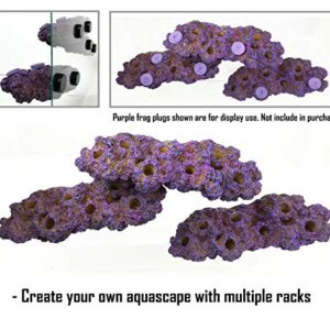 Magnetic Reef Coral Frag Rack Floating Rock Strong Magnets Strong N52 Magnets for 1/2" Glass (Coralline Purple)