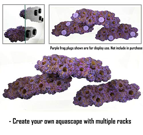 Magnetic Reef Coral Frag Rack Floating Rock Strong Magnets Strong N52 Magnets for 1/2" Glass (Coralline Purple)