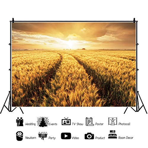 Renaiss 10x8ft Gold Cornfield Backdrop for Photoshoot Yellow Sunshine Clouds Harvest Field Photography Background Photo Booth Live Broadcast Video Prop Portraiture Party Family Gathering Outdoor Decor