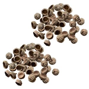 dynwave 200pcs natural acorns caps decorative for craft vase fillers home garland autumn embellishments ornaments