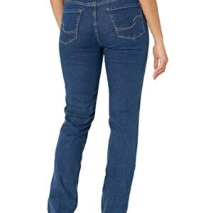 Signature by Levi Strauss & Co. Gold Women's Size Curvy Totally Shaping Straight Jeans (Available in Plus Size), (New) Jackson Square, 24 Short