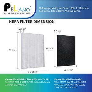 115115 Replacement Filter A, 116130 Replacement Filter H, Compatible with Winix C535,PlasmaWave Air Purifier 5300 6300 5300-2 5500-2 6300-2 P300 Plasma wave Air Purifier - 2 HEPA + 8 Carbon Filters