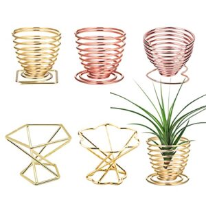 suerry air plant holder airplant stand, 6 style tillandsia container stainless steel air plant stand for living decor office gift idea(6pcs), silver