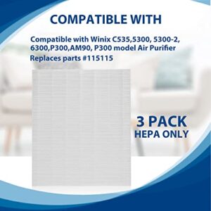 Fizerneer 115115 Size 21 Replacement Filter A Compatible with Winix C535 C909, Winix PlasmaWave 5300, 6300, 5300-2, 6300-2, P300 Plasma wave Air Purifier, True HEPA Filter Only 3 Pack