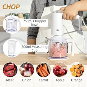 HOMCOM 5-in-1 Electric Hand Mixer, Handheld Mixer with Measuring Cup, 300W Immersion Blender with 5+1P Speeds, Dough Hooks, Chopper, Whisk and Mixers for Meat, Fruit, Mashed Potato and Milkshake