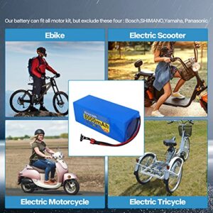 Airuxuan 36V 36V Battery 36V Ebike Battery 8Ah Electric Bike Battery 36V Lithium Battery with 2A Charger, T-Plug, XT60 Connector and BMS for 250-750W Electric Bicycles Motor