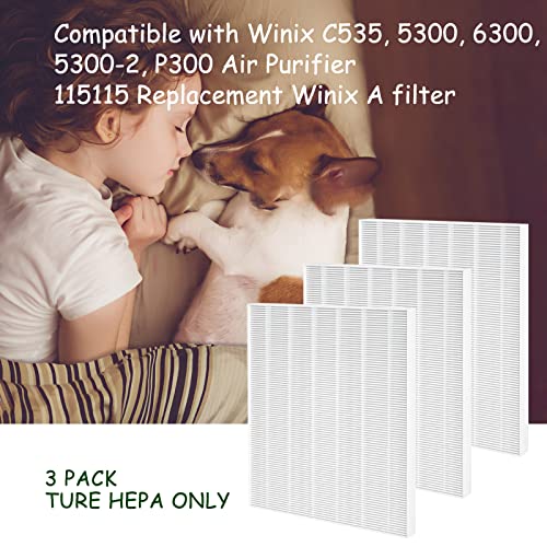 115115 Size 21 Replacement Filter A Compatible with Winix C535 C909, Winix PlasmaWave 5300, 6300, 5300-2, 6300-2, P300 Plasma wave Air Purifier, True HEPA Filter Only 3 Pack