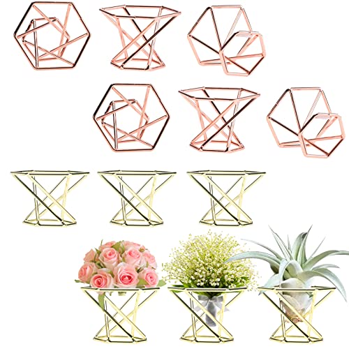 SanSanYa 12Pieces Mini Air Plant Stand Metal Geometric Air Plant Display Stand Geometric Air Plant Container Mini Air Plant Holders