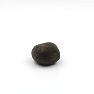 WW Will and Weaves Shaligram Shila Natural Stone Laxmi Narayan Abhimantrit Shree Shaligram