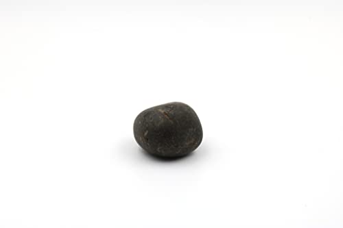 WW Will and Weaves Shaligram Shila Natural Stone Laxmi Narayan Abhimantrit Shree Shaligram