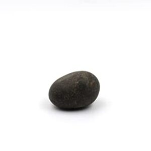 WW Will and Weaves Shaligram Shila Natural Stone Laxmi Narayan Abhimantrit Shree Shaligram