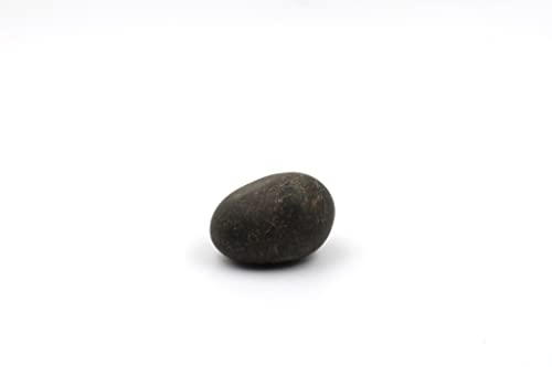 WW Will and Weaves Shaligram Shila Natural Stone Laxmi Narayan Abhimantrit Shree Shaligram