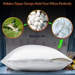 Mulberry Silk Pillowcase 2 Pack for Hair and Skin,with Hidden Zipper.Both Sides 19 Momme Allergen Proof Soft Breathable Smooth Silk Pillow Cover (Standard, White)